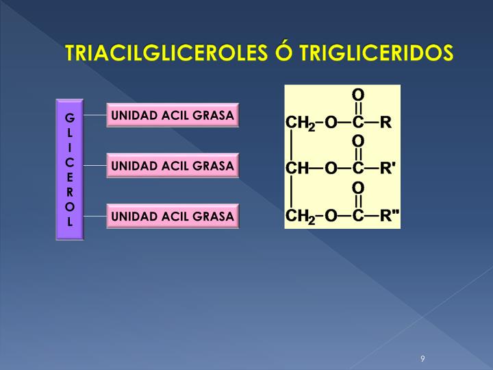 PPT - LIPIDOS SIMPLES PowerPoint Presentation - ID:4765728