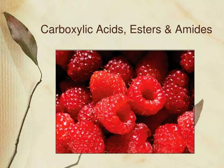 PPT - Carboxylic Acids, Esters & Amides PowerPoint Presentation, free download - ID:4765848