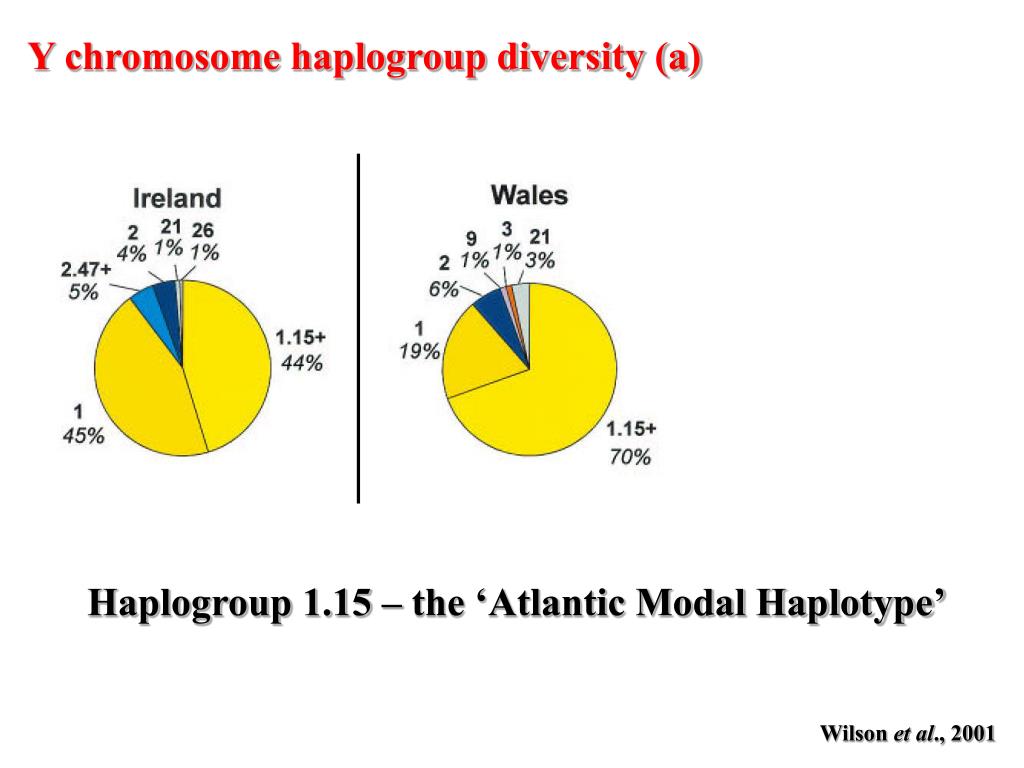 PPT - Blood unites us: genetics and the population history of the ...