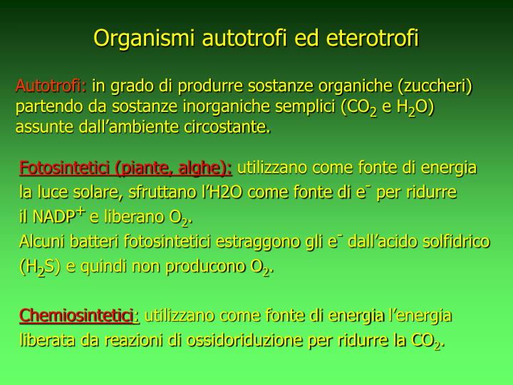 PPT - La fotosintesi clorofilliana PowerPoint Presentation - ID:4767674