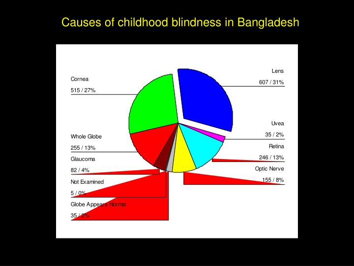 PPT - Childhood Blindness PowerPoint Presentation - ID:4770048