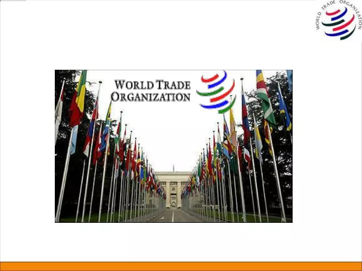 PPT - Brief Snapshot on WTO PowerPoint Presentation, free download - ID ...