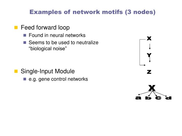 PPT - SI 614 Network subgraphs (motifs) Biological networks PowerPoint ...