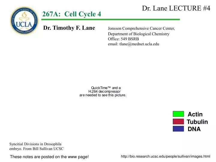 PPT - Dr. Timothy F. Lane Jonsson Comprehensive Cancer Center ...