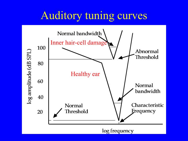 PPT - Hearing and Deafness 2. Ear as a frequency analyzer PowerPoint ...