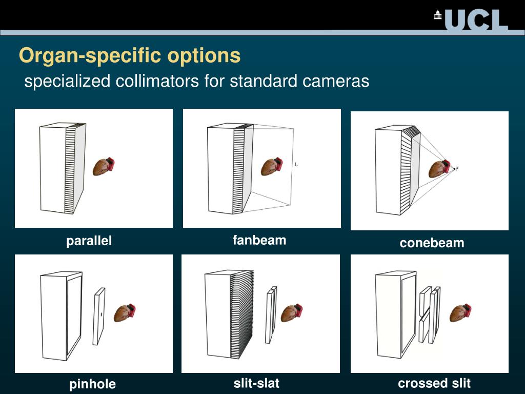 PPT - Professor Brian F Hutton Institute of Nuclear Medicine University ...