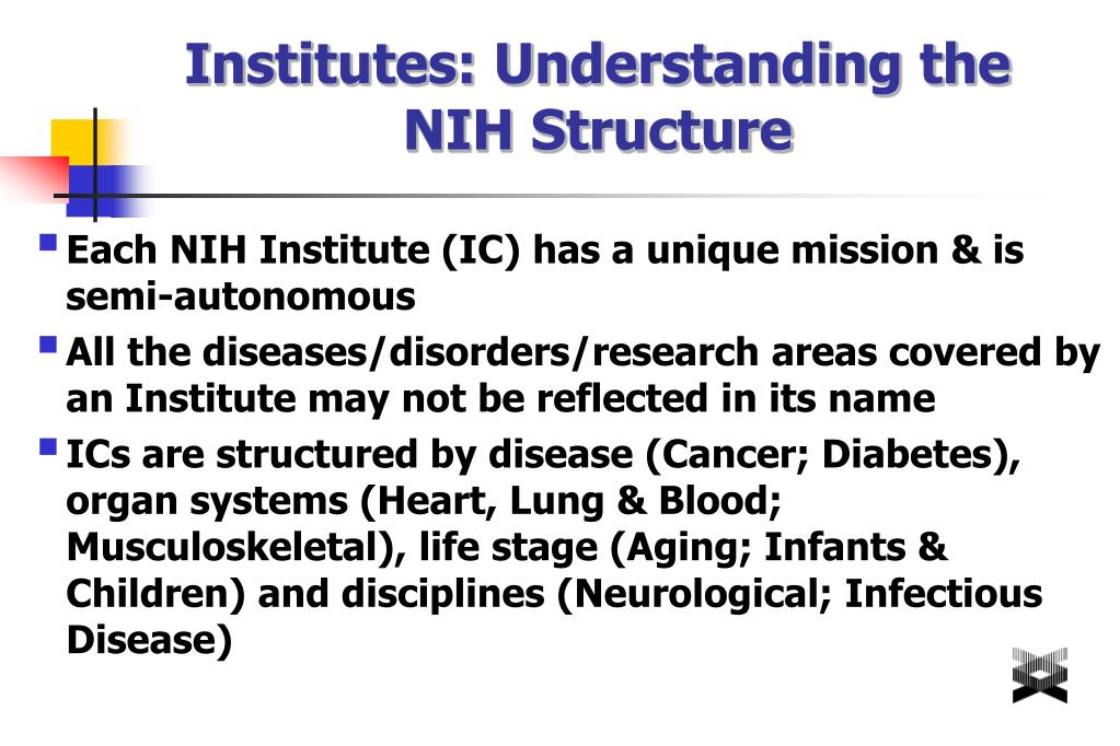 PPT - Claire T. Driscoll Director, Technology Transfer Office ...