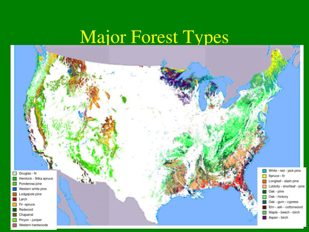 PPT - Forestry & Society Forests of the U.S. PowerPoint Presentation ...