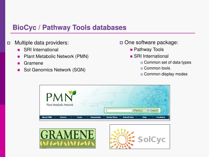 PPT - Accessing information in plant metabolic pathway databases at the ...
