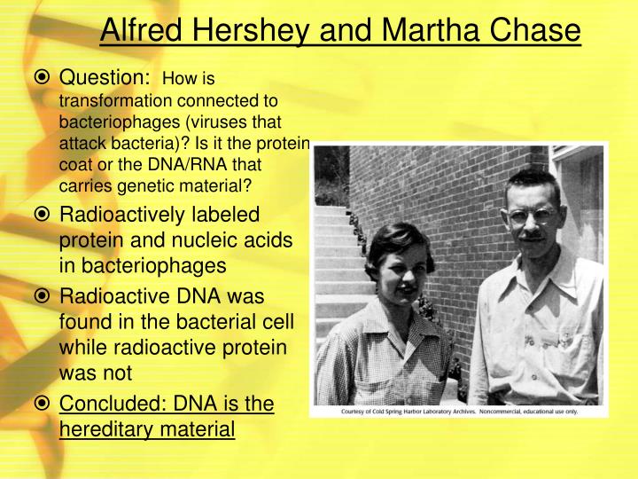 PPT - DNA: “The Blueprint of Life” PowerPoint Presentation - ID:4780281