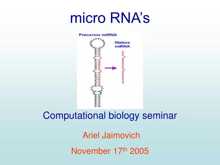 PPT - micro RNA’s PowerPoint Presentation, free download - ID:4780688