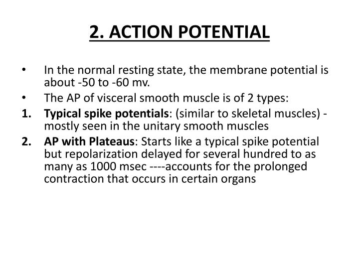 PPT - SMOOTH MUSCLE PowerPoint Presentation - ID:4781145