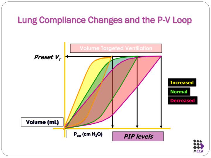 PPT - Advanced Pulmonary Mechanics during Mechanical Ventilation ...