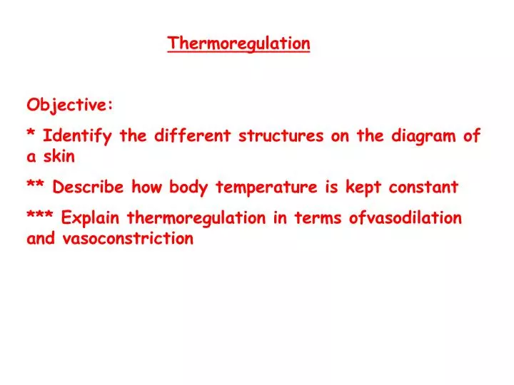PPT - Thermoregulation Objective: * Identify the different structures ...