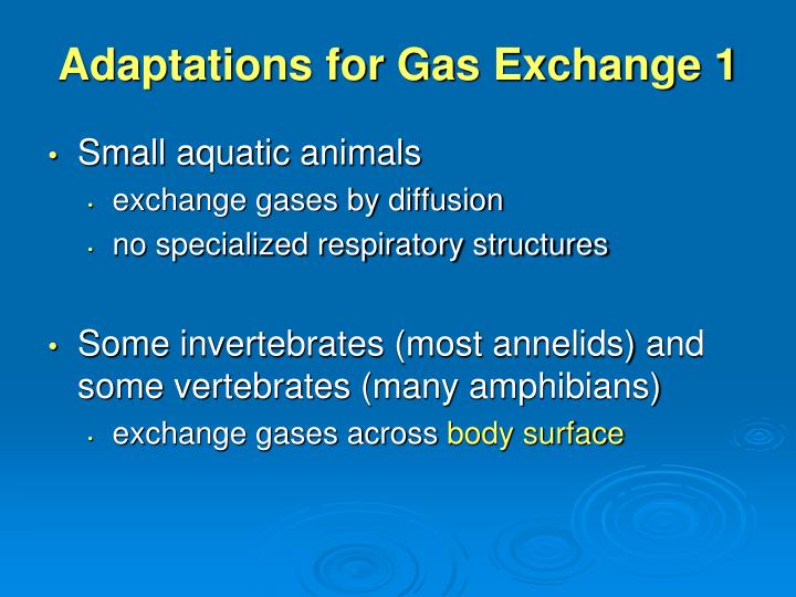 PPT - Gas Exchange PowerPoint Presentation - ID:4787068