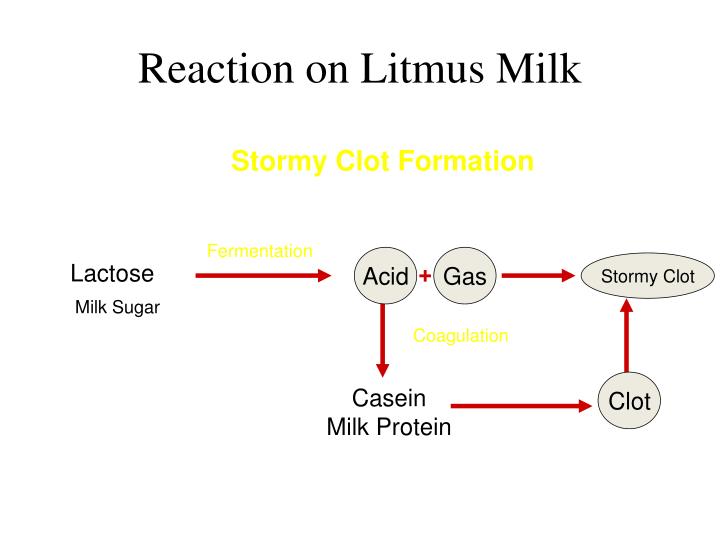 PPT - Clostridium Gas gangrene, tetanus, food poisoning ...