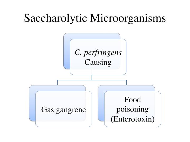 PPT - Clostridium Gas gangrene, tetanus, food poisoning ...