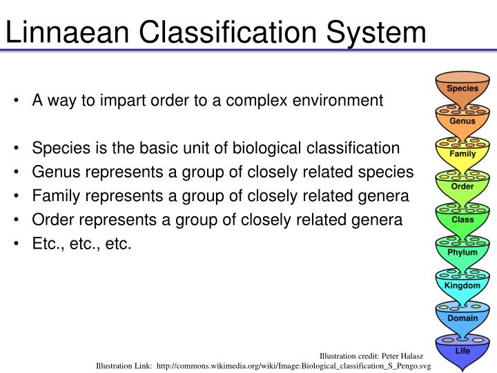 PPT - Master Gardener Information (Statewide Program) PowerPoint ...