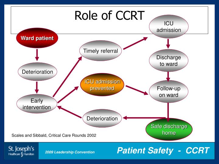 PPT - Dr. Roman Jaeschke Dr. Mark Soth Lily Waugh Members of the CCRT ...
