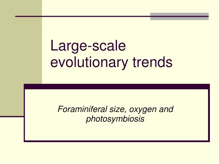 PPT - Large-scale evolutionary trends PowerPoint Presentation, free ...