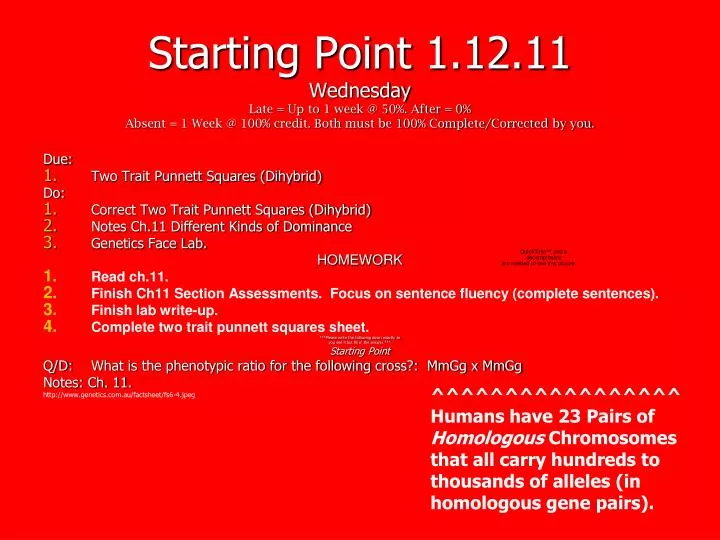 PPT - Due: Two Trait Punnett Squares (Dihybrid) Do: Correct Two Trait ...