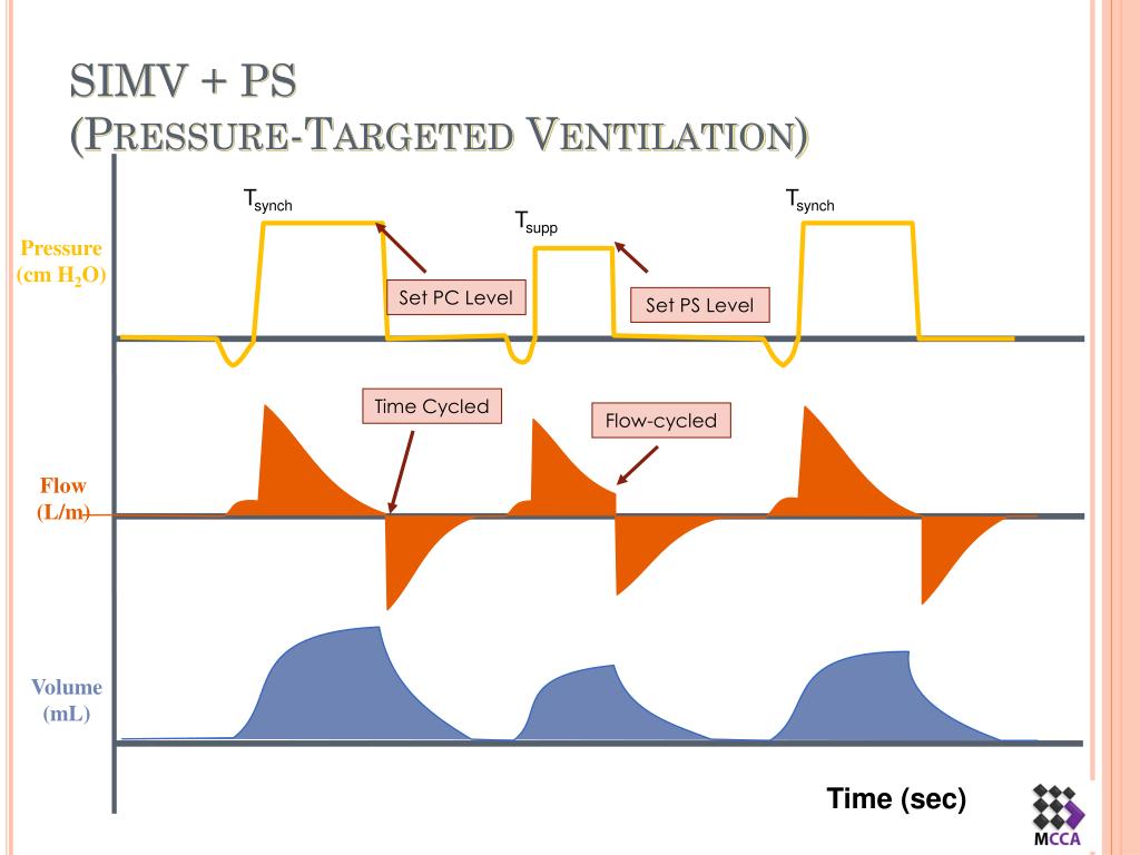 PPT - Modes of Mechanical Ventilation PowerPoint Presentation, free ... PPT - Modes of Mechanical Ventilation PowerPoint Presentation, free ...