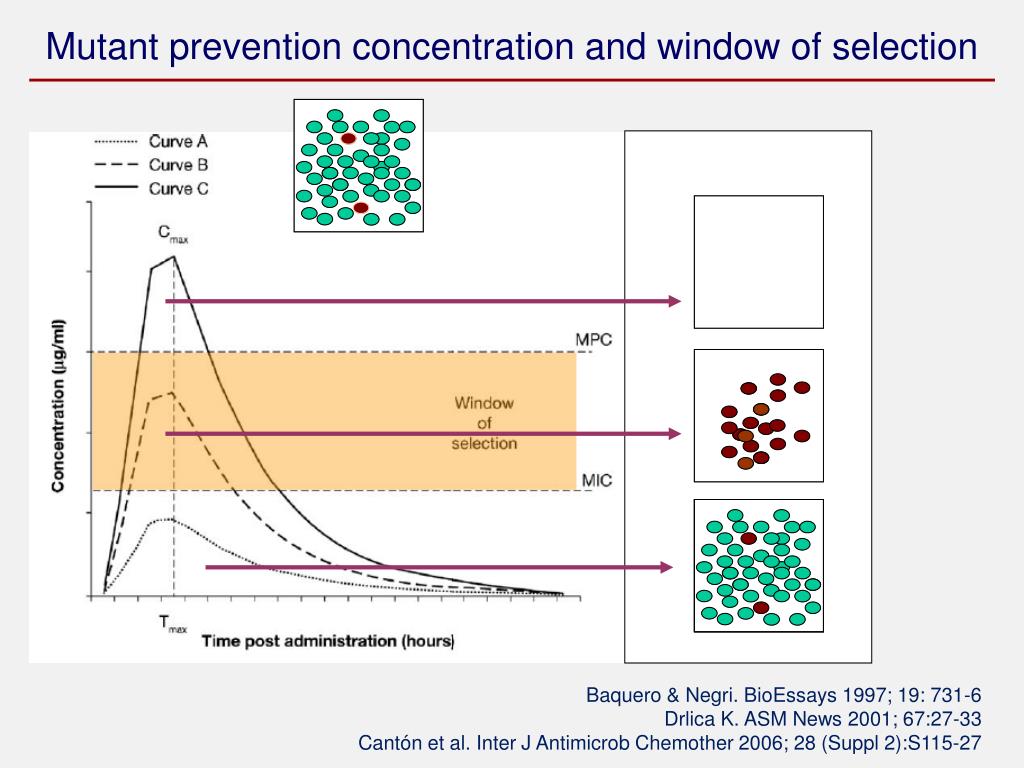 PPT - Latest antibiotic treatment on respiratory tract infections and ...