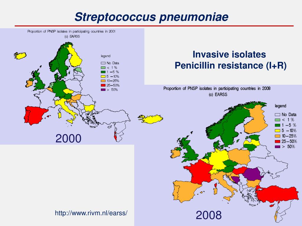 PPT - Latest antibiotic treatment on respiratory tract infections and ...