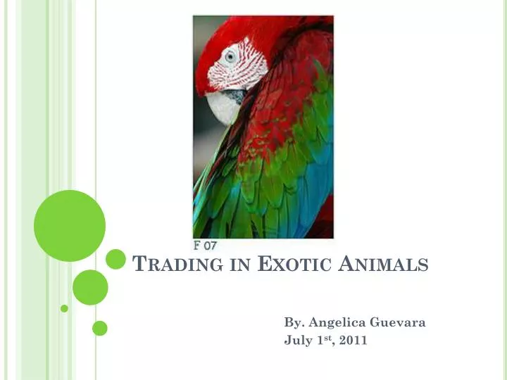 PPT - Trading in Exotic Animals PowerPoint Presentation, free download ...