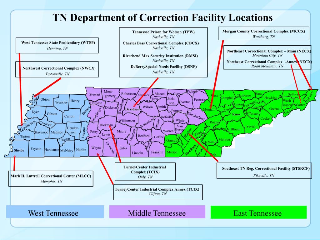 PPT - Care and Prevention in the United States (CAPUS) Tennessee’s ...