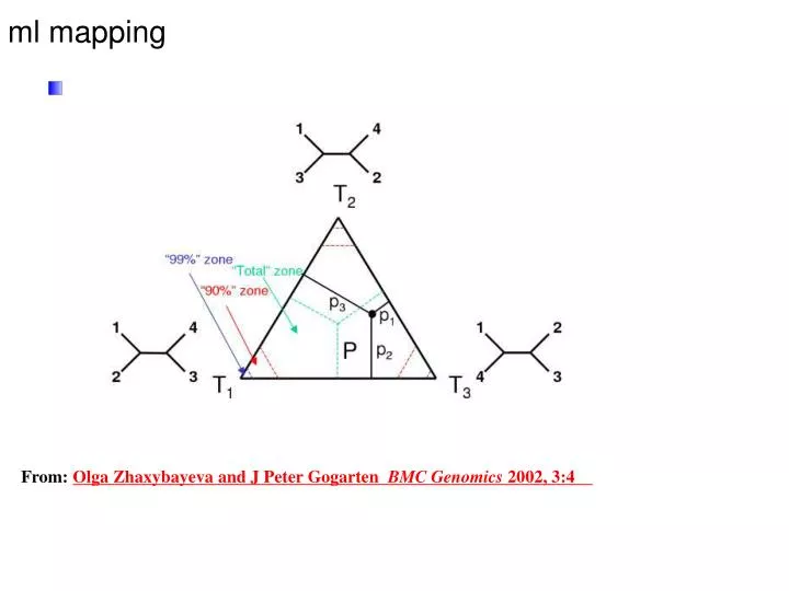 PPT - ml mapping PowerPoint Presentation, free download - ID:4790564