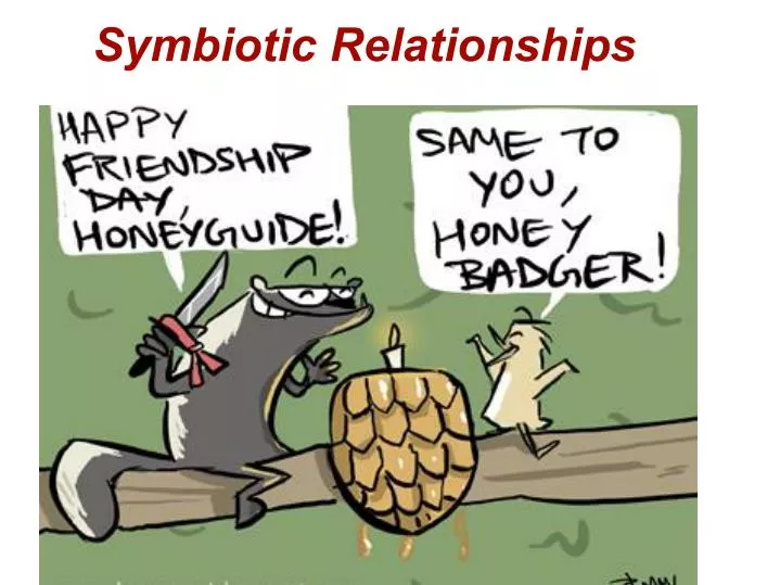 PPT - Symbiotic Relationships PowerPoint Presentation, free download ...