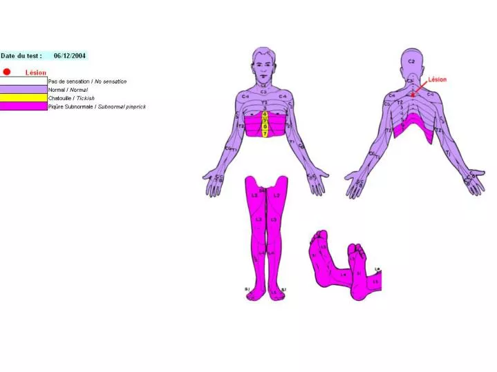 PPT - edel PowerPoint Presentation, free download - ID:4792295