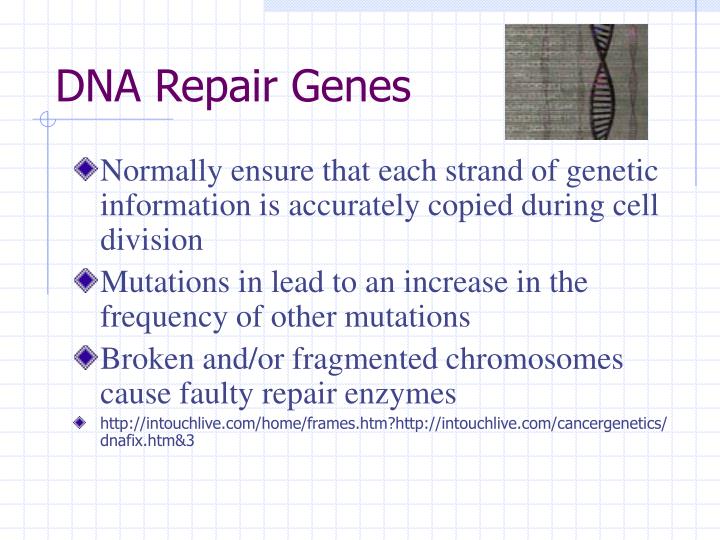 PPT - Onco, Tumor-Suppressor, and DNA Repair Genes PowerPoint ...