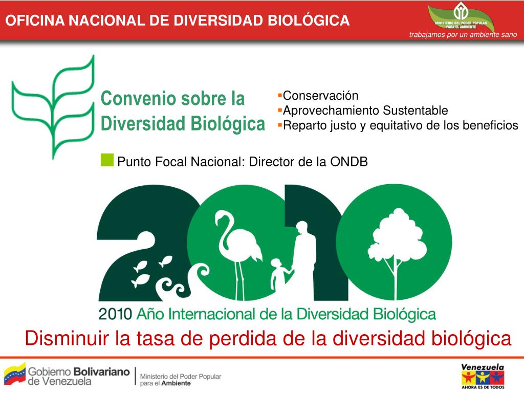PPT - Convenio sobre la Diversidad Biológica PowerPoint Presentation ... PPT - Convenio sobre la Diversidad Biológica PowerPoint Presentation ...