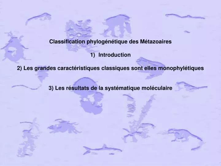 PPT - Classification phylogénétique des Métazoaires Introduction ...