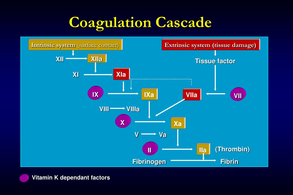 PPT - Bleeding Disorders Haemostasis Hemorrhage in Oral Surgery ...