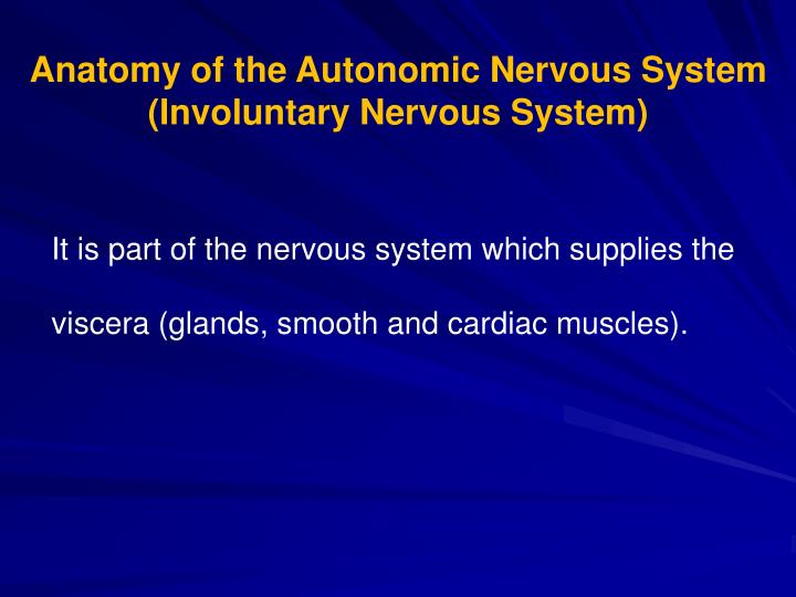 PPT - NEUROANATOMY Lecture : 12 Anatomy of the Autonomic Nervous System ...