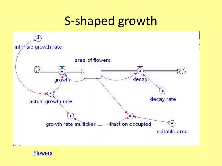 PPT - S-shaped growth PowerPoint Presentation, free download - ID:4794624