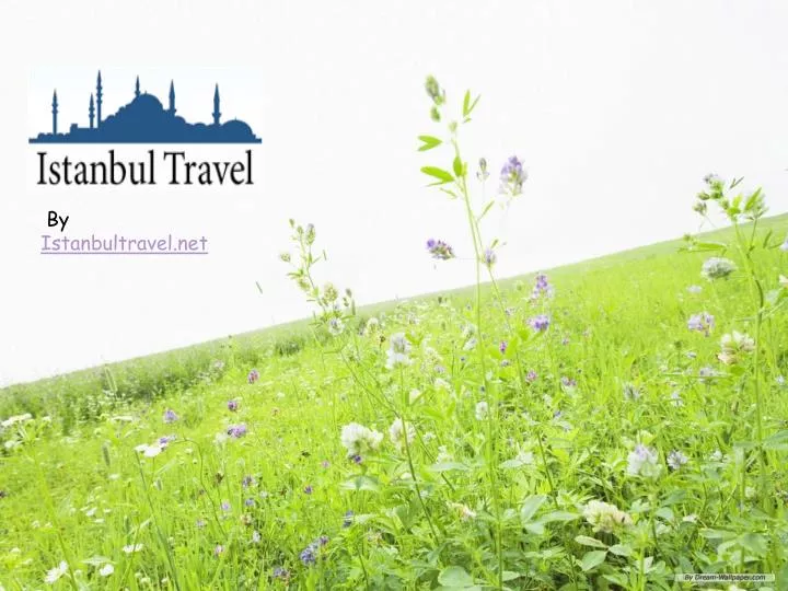 PPT - Istanbul city Tour PowerPoint Presentation, free download - ID ...