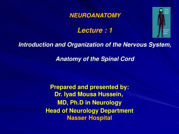 Ppt Neuroanatomy Lecture 1 Introduction And Organization Of The