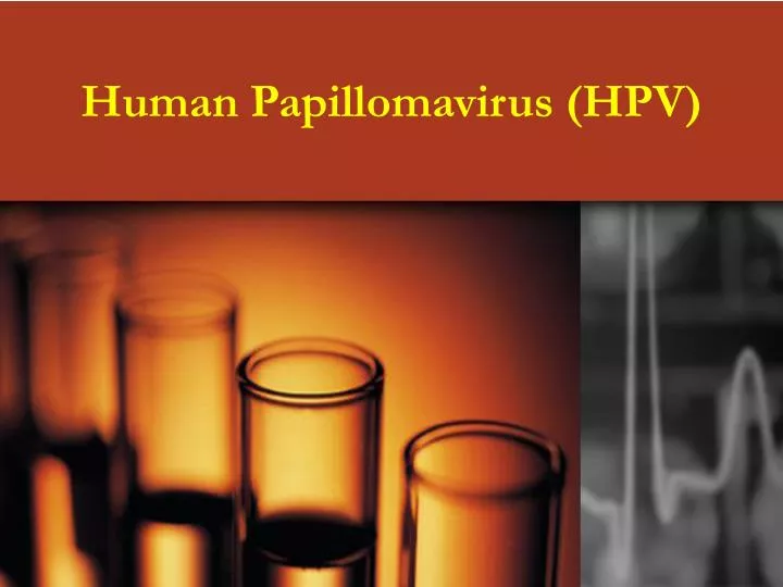 PPT - Human Papillomavirus (HPV) PowerPoint Presentation, free download ...