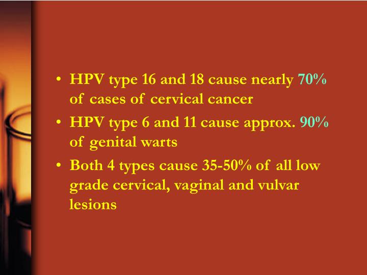 PPT - Human Papillomavirus (HPV) PowerPoint Presentation - ID:4796267