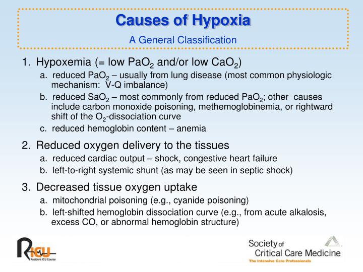 PPT - Arterial Blood Gas Interpretation PowerPoint Presentation - ID ...