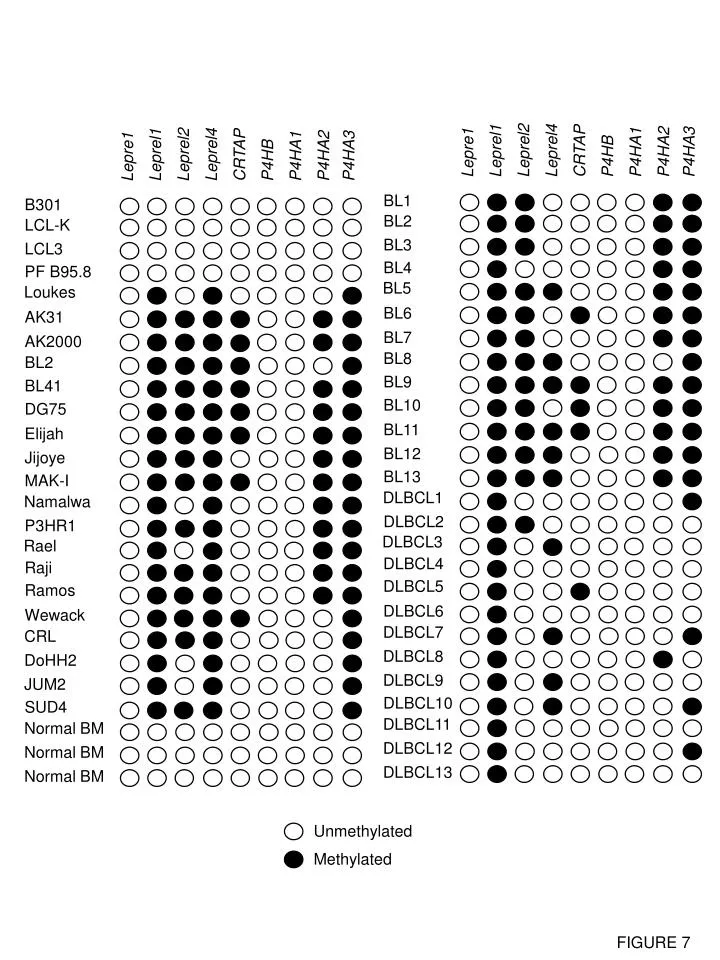 PPT - B301 PowerPoint Presentation, free download - ID:4798302
