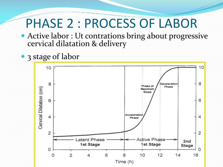 PPT - Lecture 5 PHASES OF PARTURITION STAGES OF LABOR MECHANISM OF ...