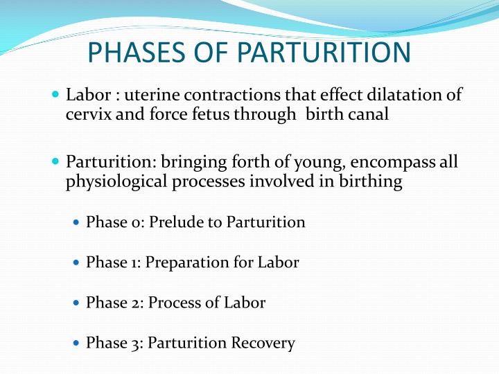 PPT - Lecture 5 PHASES OF PARTURITION STAGES OF LABOR MECHANISM OF ...
