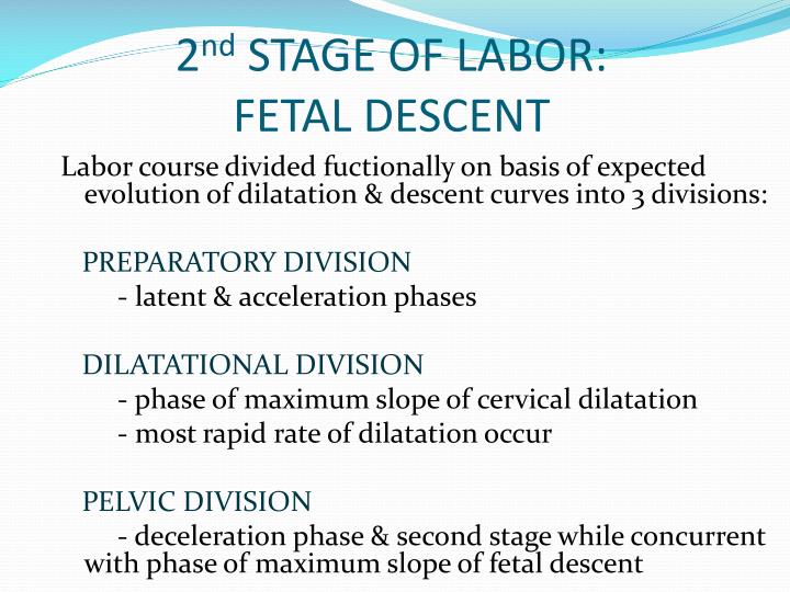 PPT - Lecture 5 PHASES OF PARTURITION STAGES OF LABOR MECHANISM OF ...