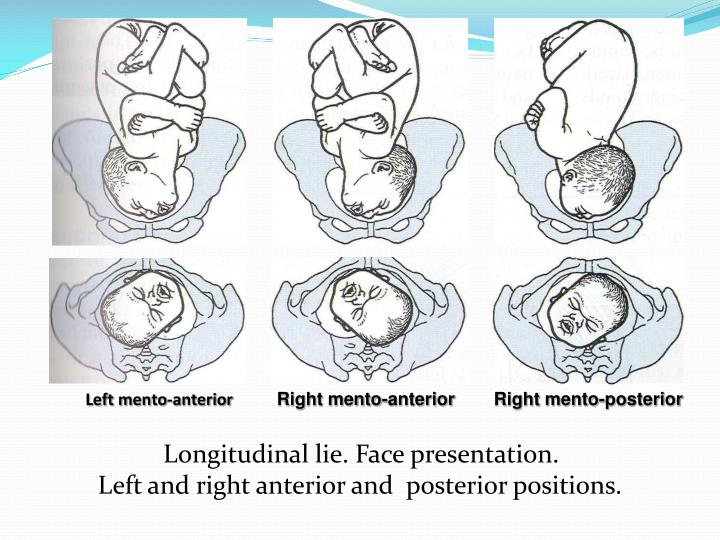 PPT - Lecture 5 PHASES OF PARTURITION STAGES OF LABOR MECHANISM OF ...