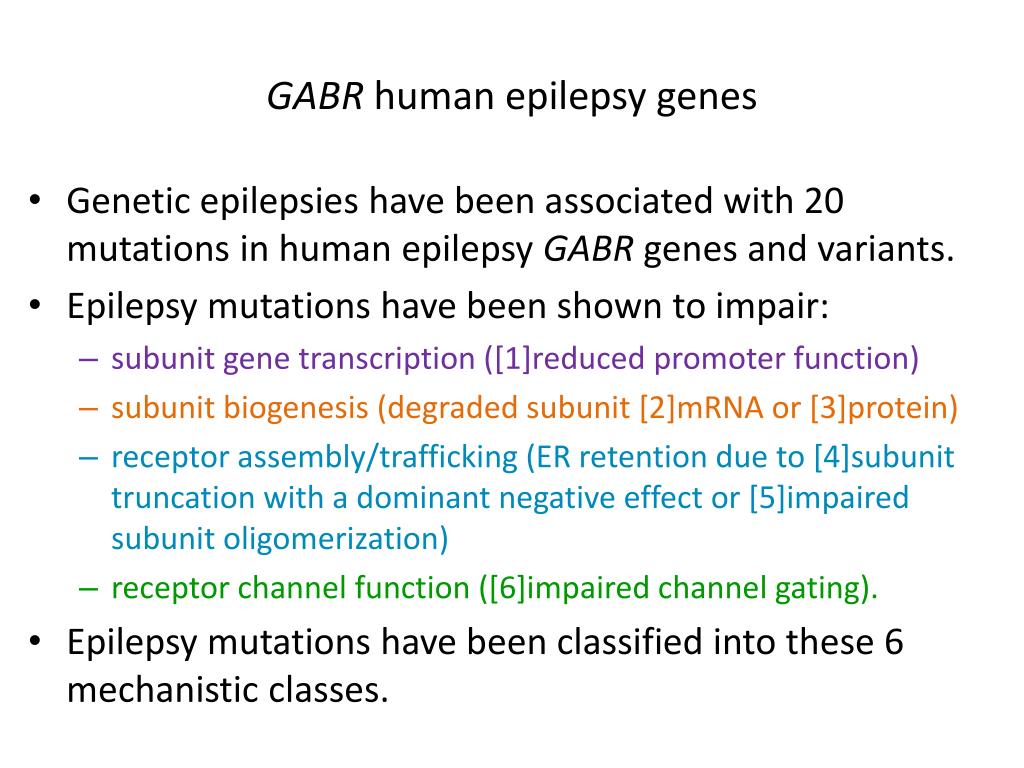 PPT - Genetic Epilepsies and GABA A Receptor Mutations November 17 ...